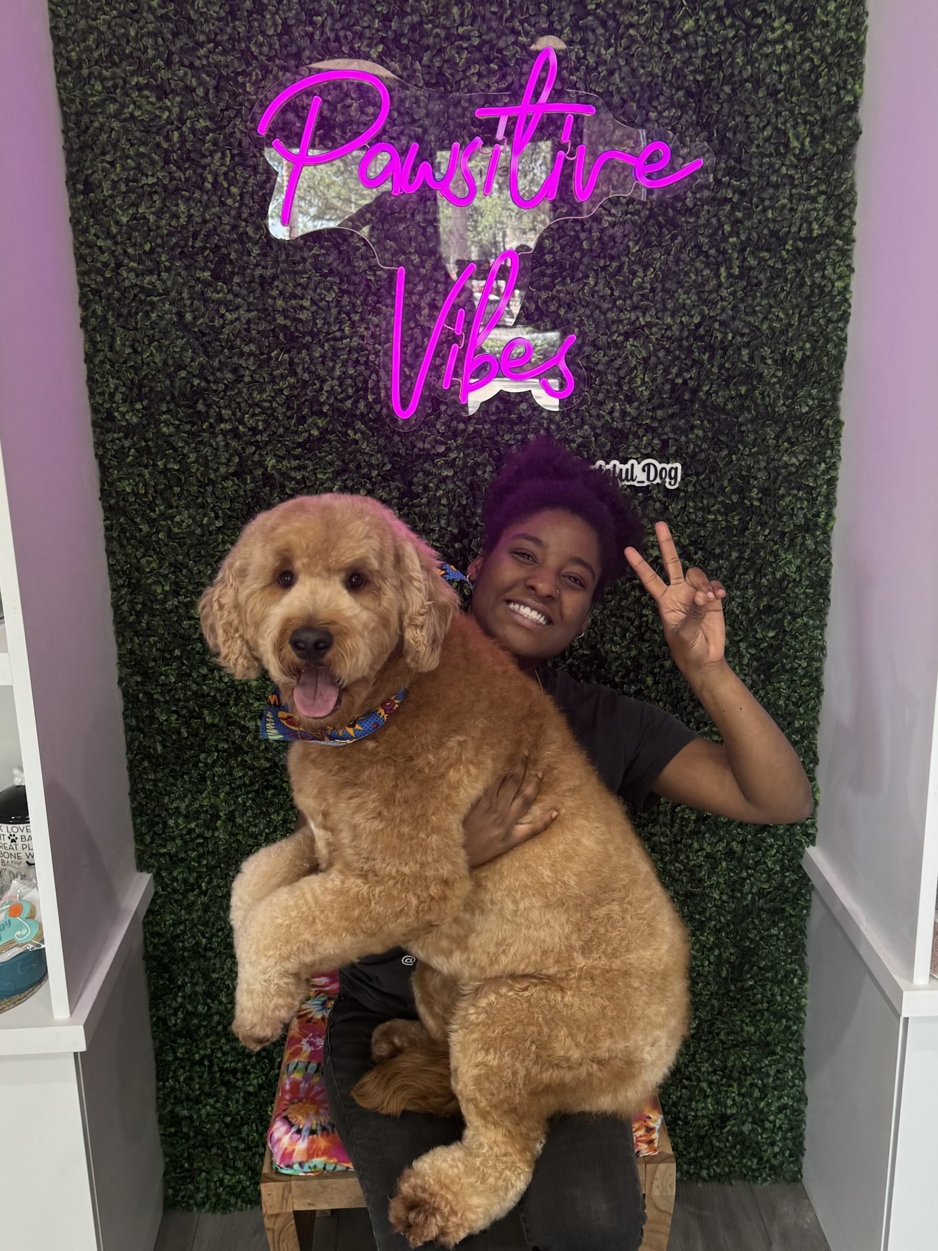 Destiny – The Grateful Dog